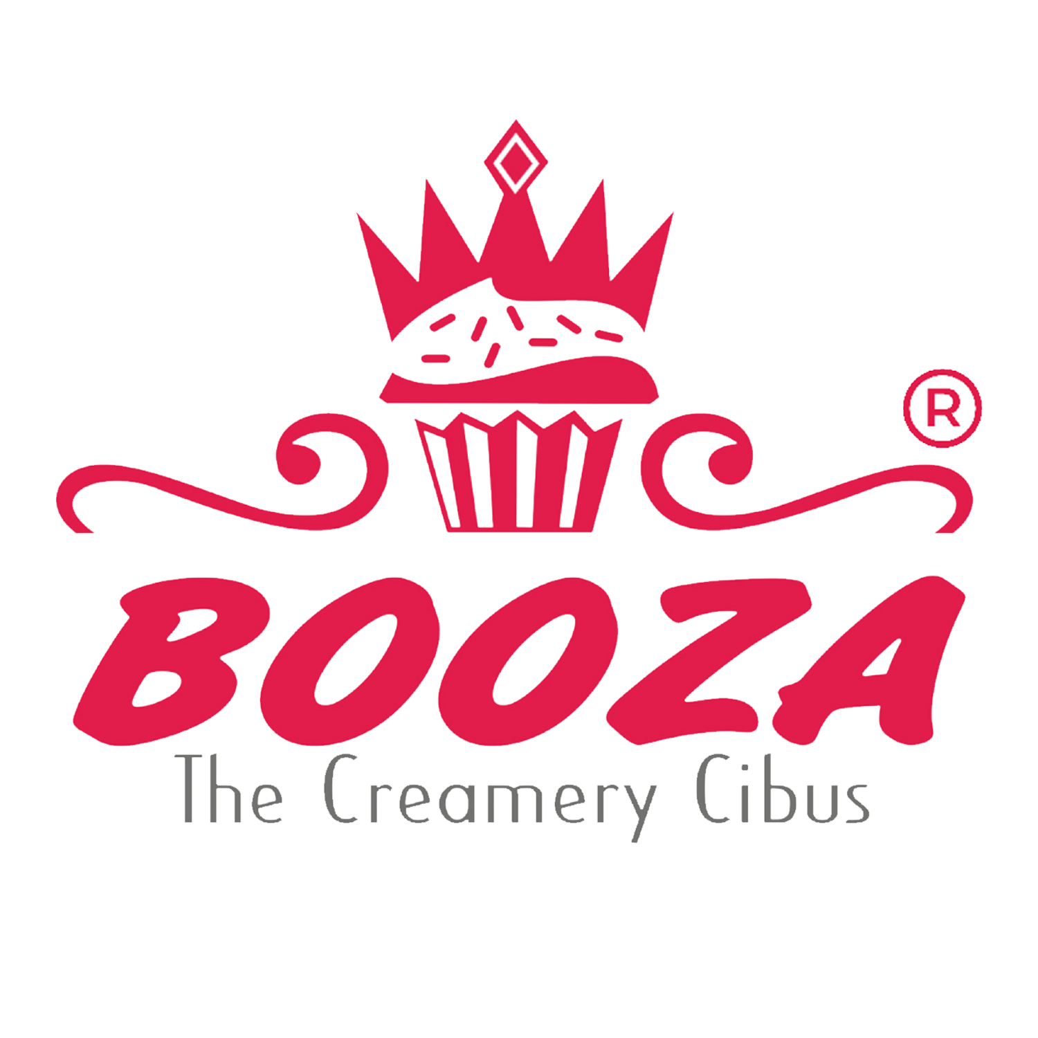Launching Soon Booza - Space9X